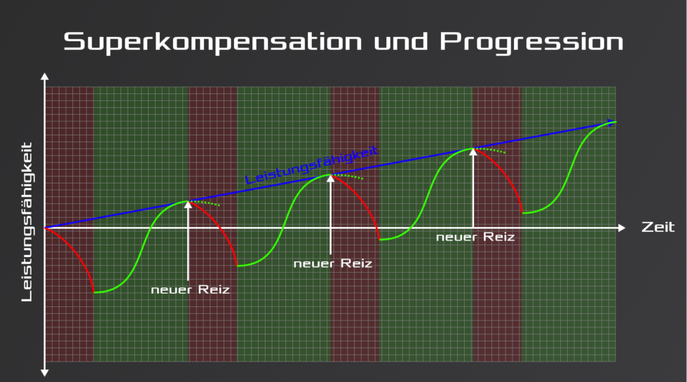 Wie du immer besser wirst - das Prinzip der Superkompensation ...